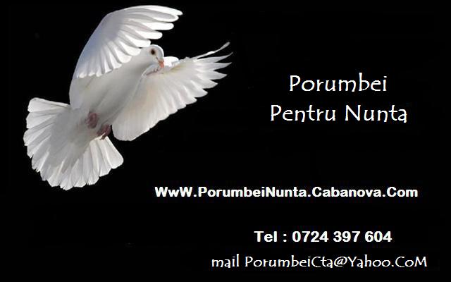 e Nunti este pentru tine » Blog Archive » Duo Fantasio – Agentie ...